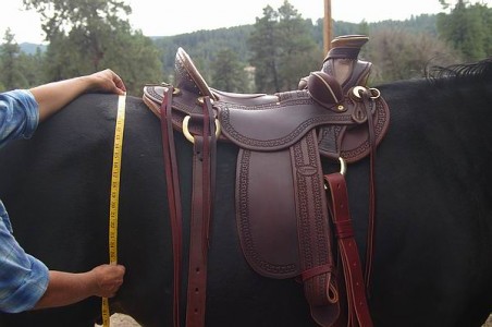 Saddle Fit How-To Guide