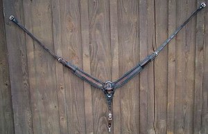 Custom Breast Collar-